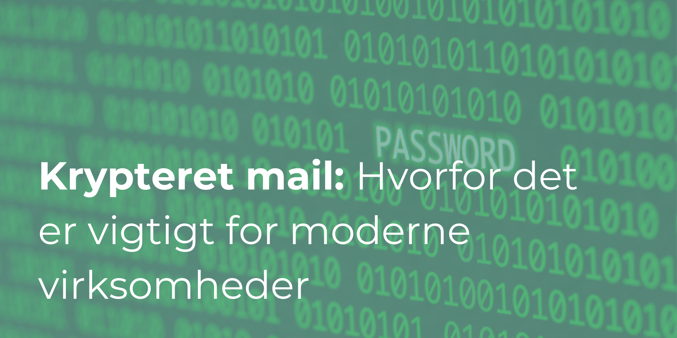 Krypteret mail: Hvorfor det er vigtigt for moderne virksomheder ...