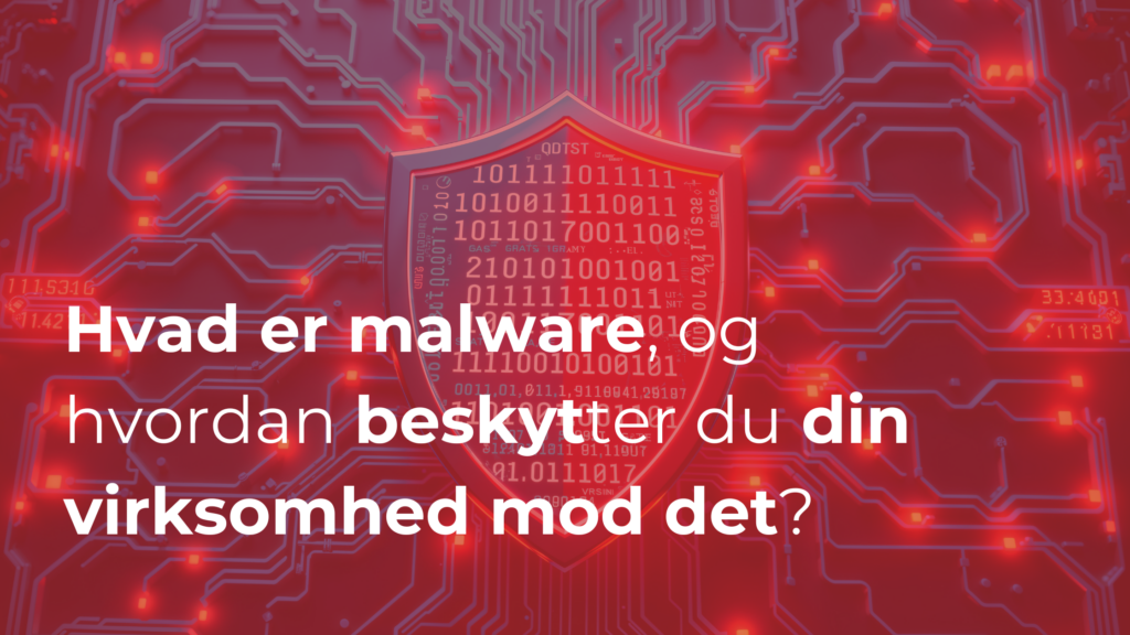 Hvad er malware? Beskyt din virksomhed mod det - RackPeople