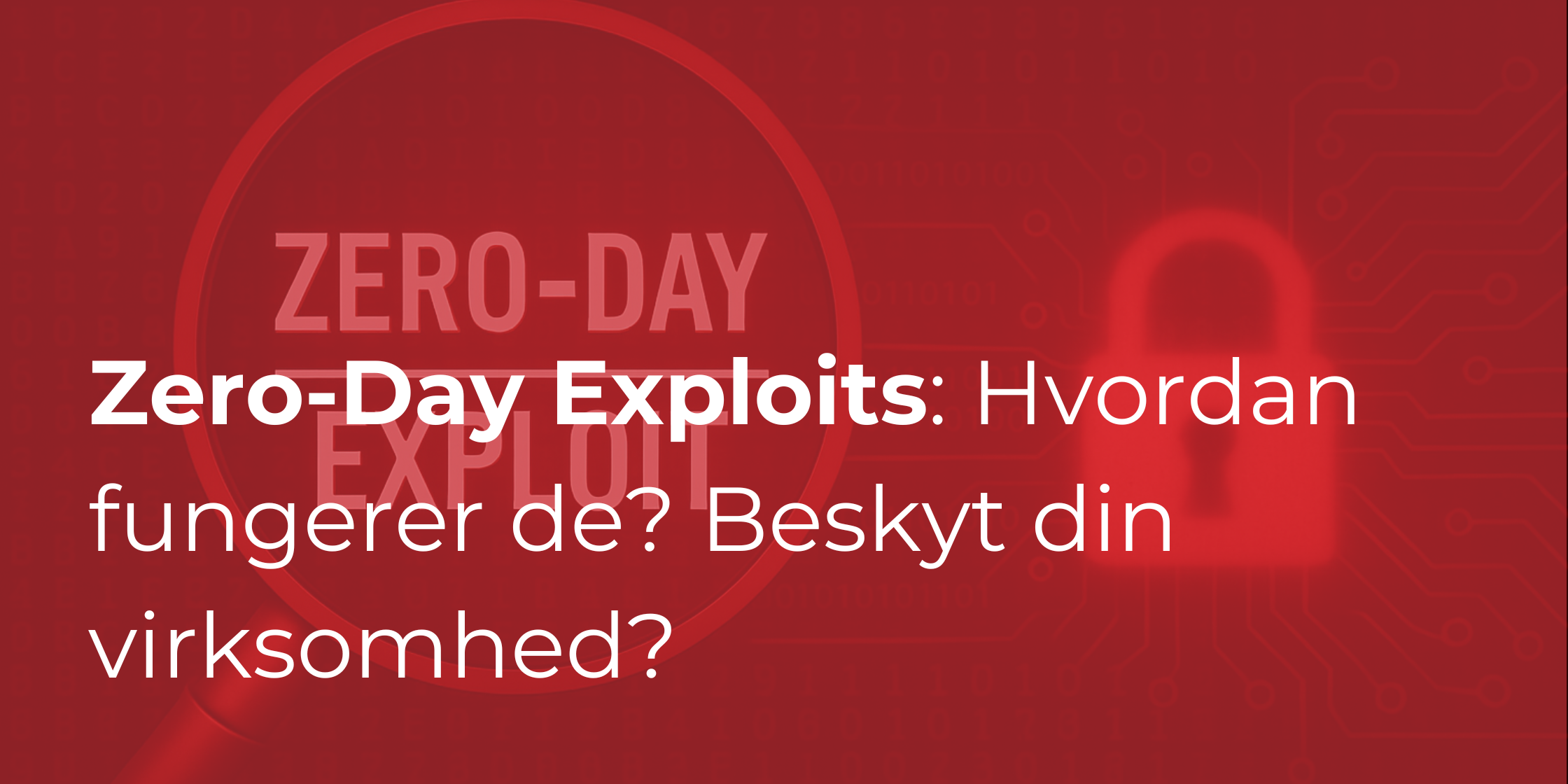 Hvordan Fungerer Zero-Day Exploits? Beskyt Din Virksomhed - RackPeople